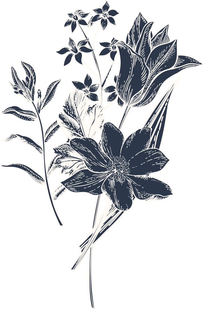 Kurniawan & Nadia | Katsudoto