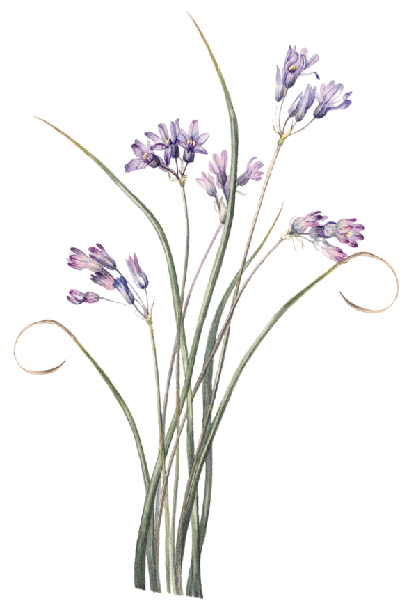 Kurniawan & Nadia | Katsudoto