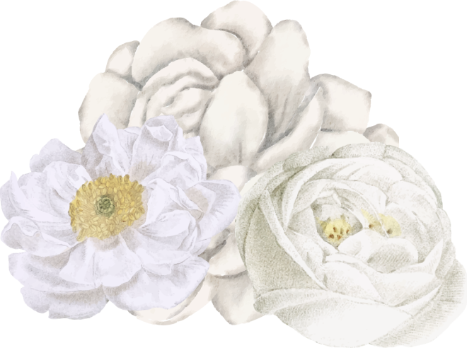 Kurniawan & Nadia | Katsudoto