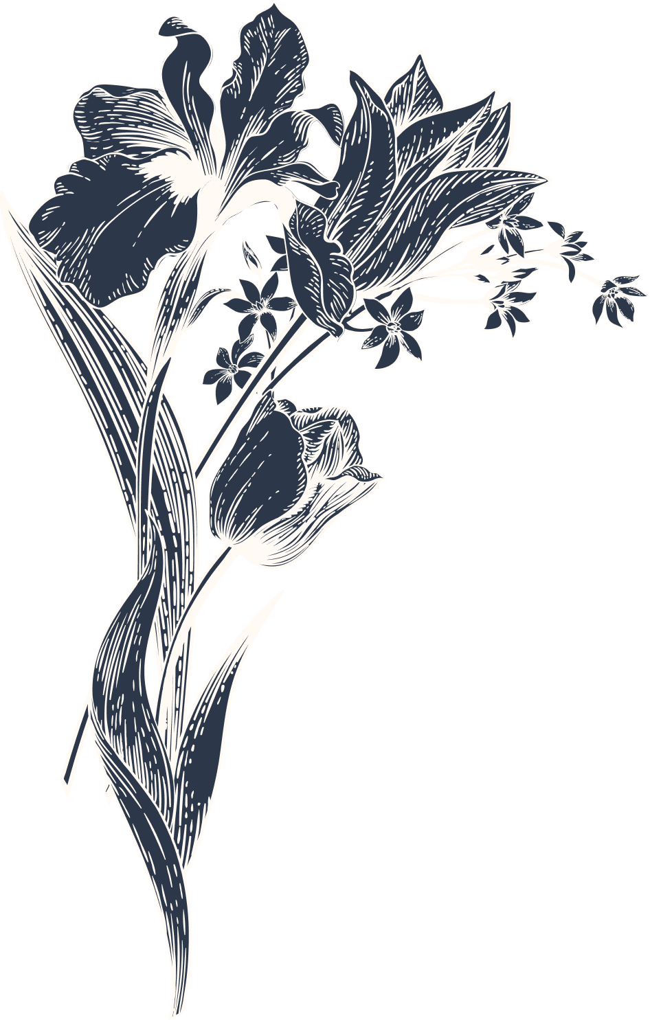 Kurniawan & Nadia | Katsudoto