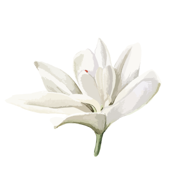 Kurniawan & Nadia | Katsudoto