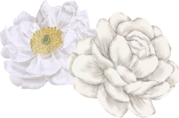 Kurniawan & Nadia | Katsudoto