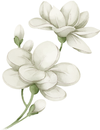 Kurniawan & Nadia | Katsudoto