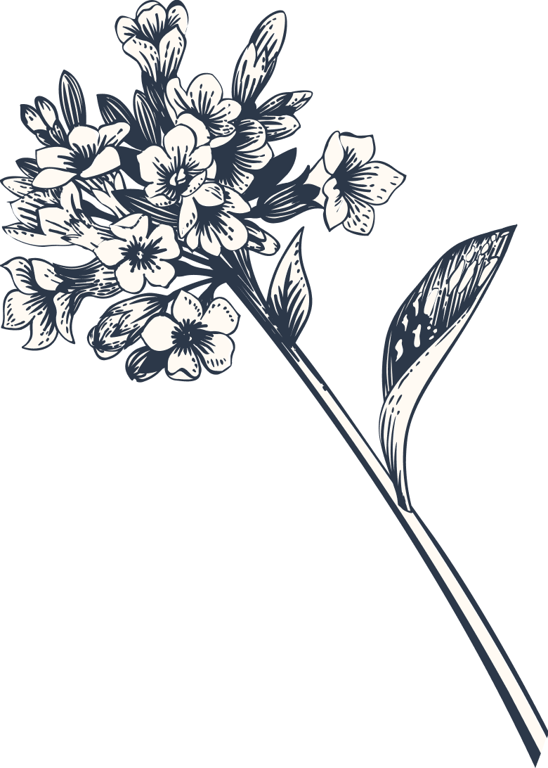 Kurniawan & Nadia | Katsudoto