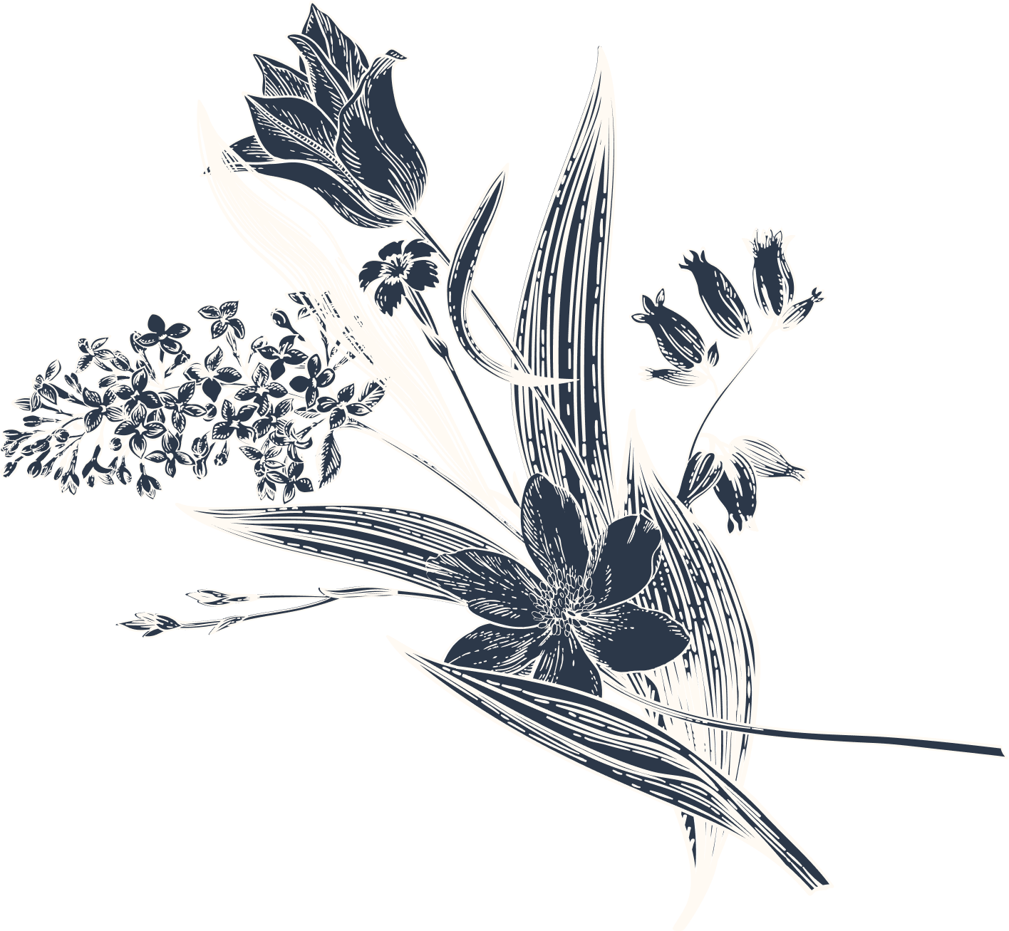 Kurniawan & Nadia | Katsudoto