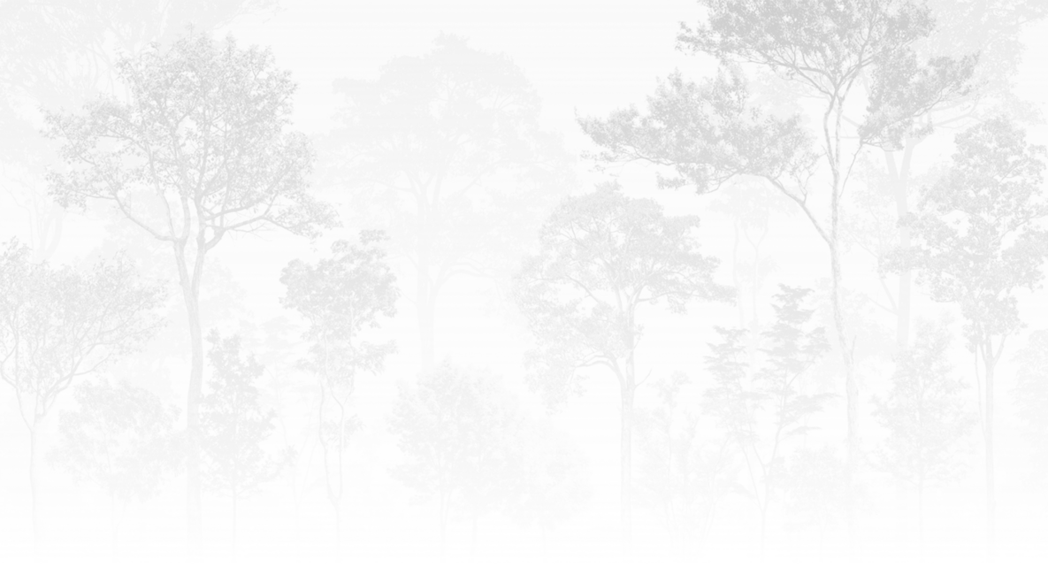 Kurniawan & Nadia | Katsudoto